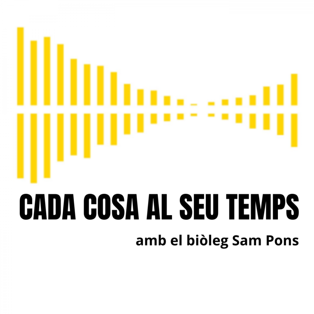 CADA COSA AL SEU TEMPS - Ràdio Far